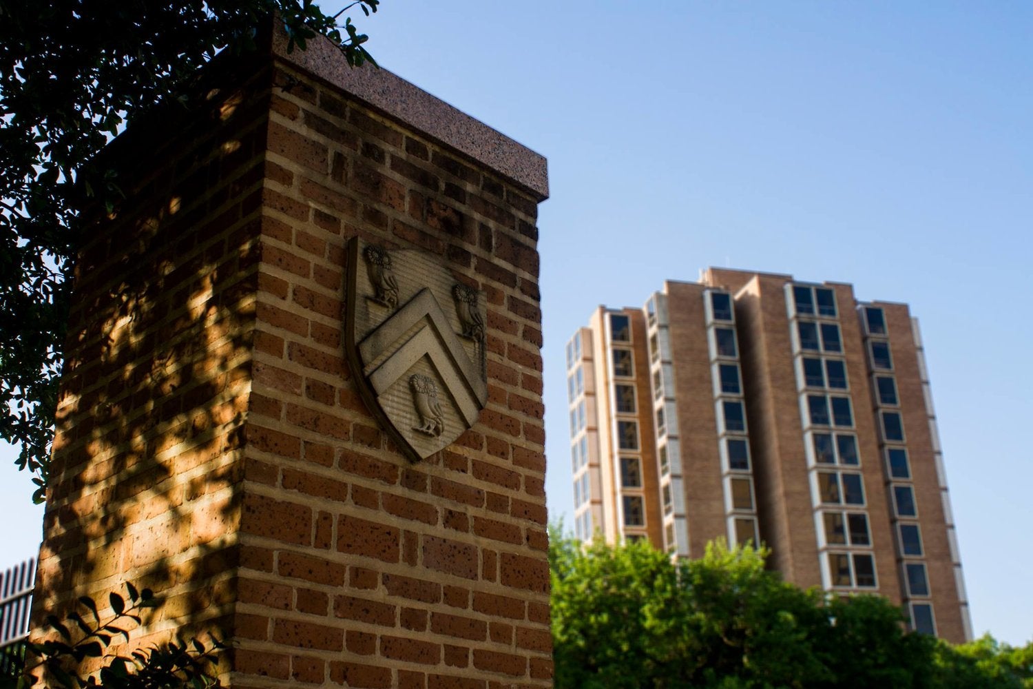 Becoming an Associate | Associates Program | Rice University