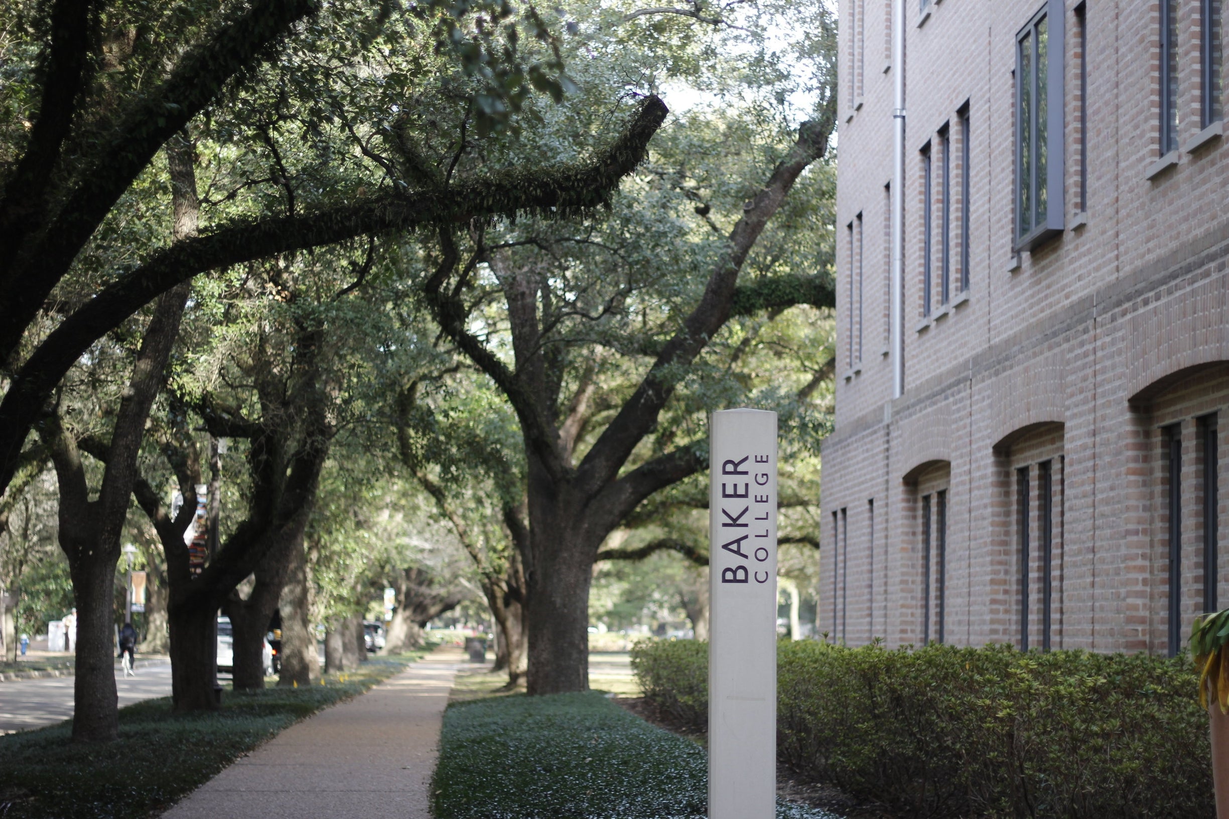 Becoming an Associate | Associates Program | Rice University